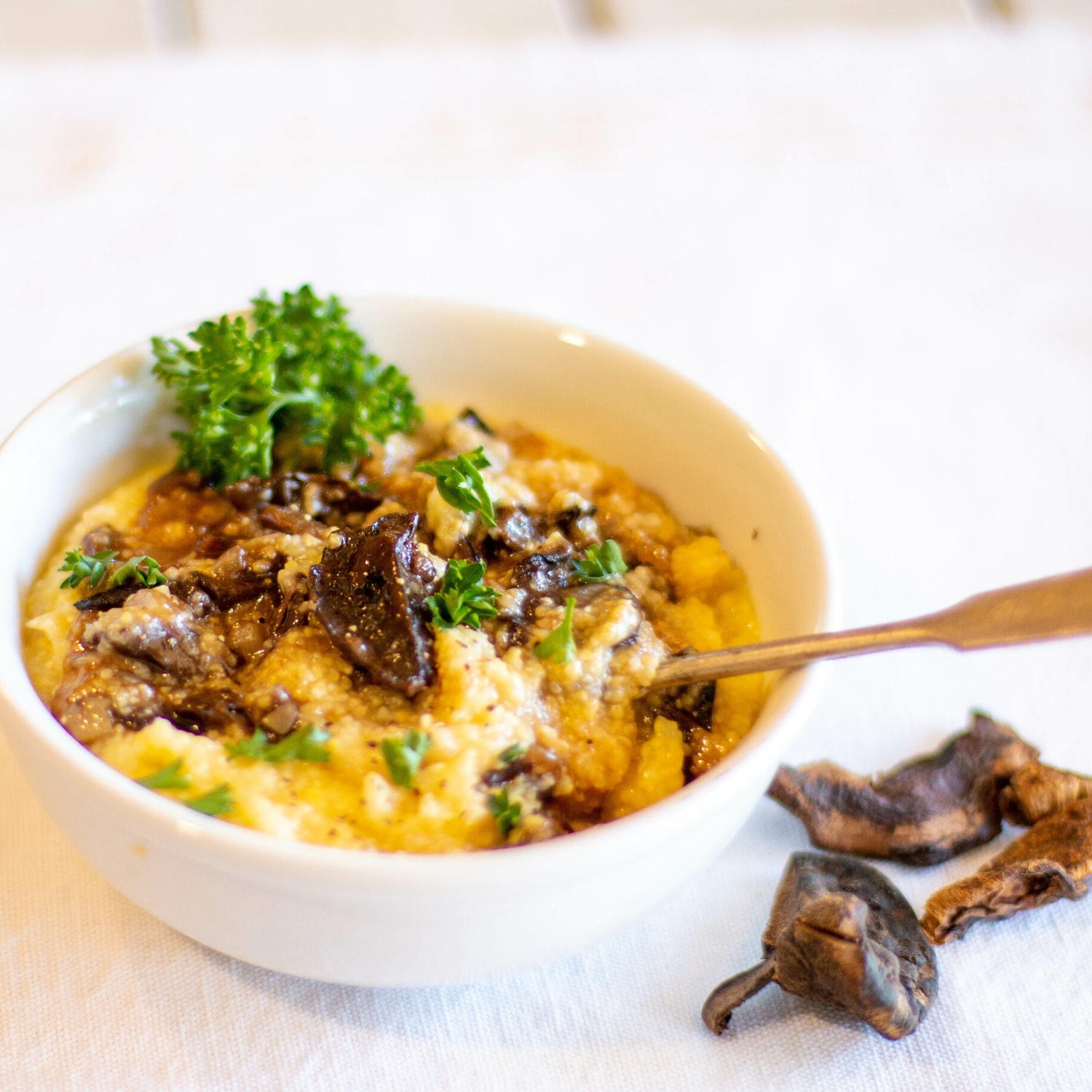 Champiland Cepe Powder – ShopEuraco